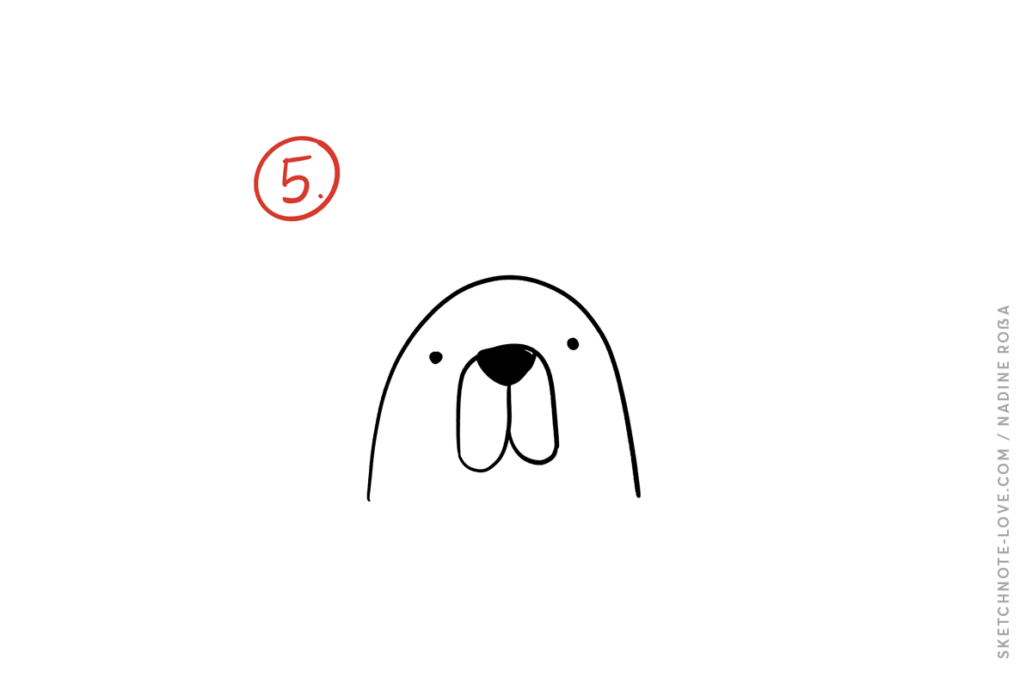 How to draw: Ein Murmeltier zeichnen – So geht's! - Sketchnote Love