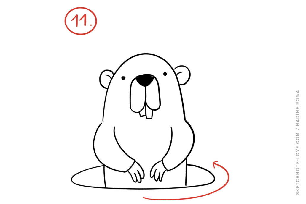How to draw: Ein Murmeltier zeichnen – So geht's! - Sketchnote Love