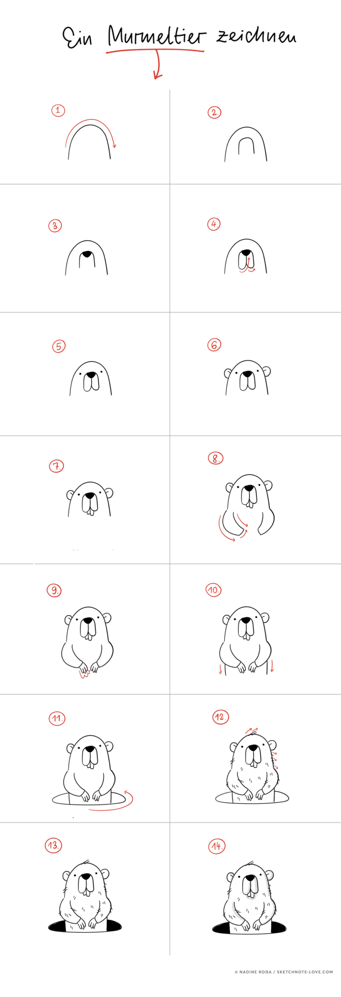 How to draw: Ein Murmeltier zeichnen – So geht's! - Sketchnote Love